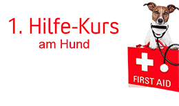 Fitterdog – Zentrum für Hundephysiotherapie