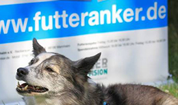 Fitterdog – Zentrum für Hundephysiotherapie