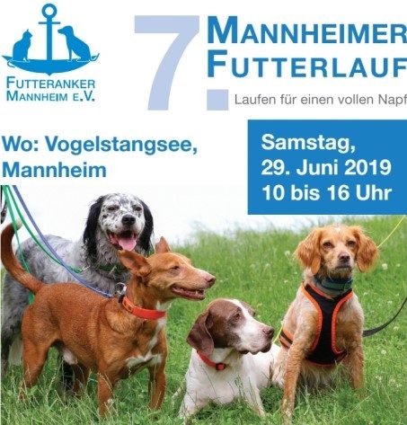 Fitterdog – Zentrum für Hundephysiotherapie